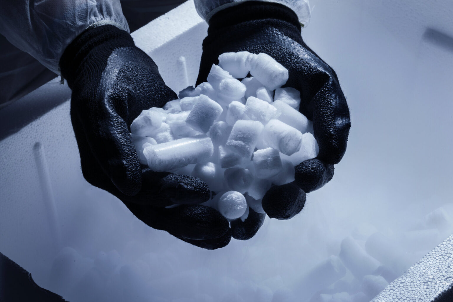 Trockeneis - Vielfältige Einsatzbereiche! – Bewusst Leben 24