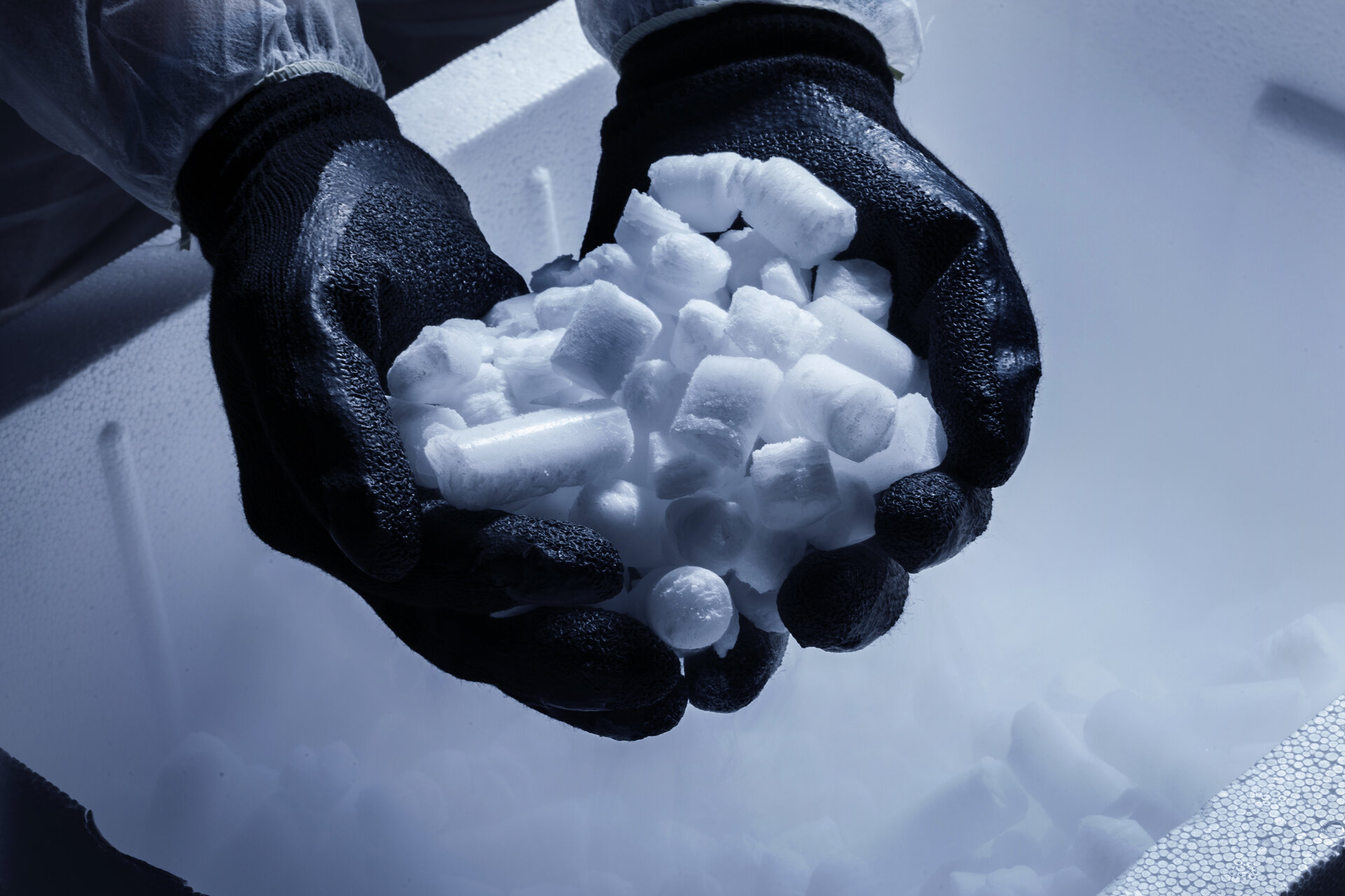 Trockeneis - Vielfältige Einsatzbereiche! – Bewusst Leben 24